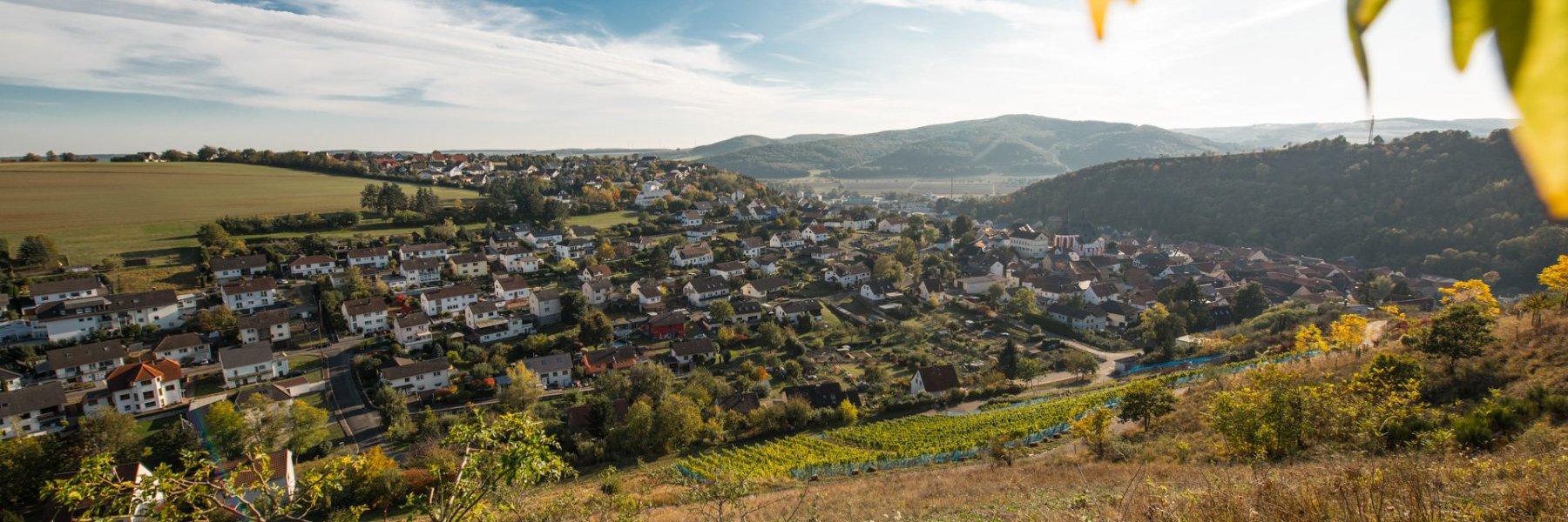 Monzingen | Verbandsgemeinde Nahe-Glan